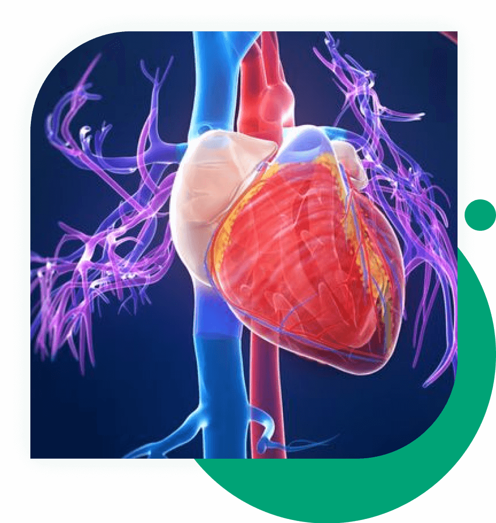 Cek Risiko Penyakit Jantung - Health Tools KlikDokter